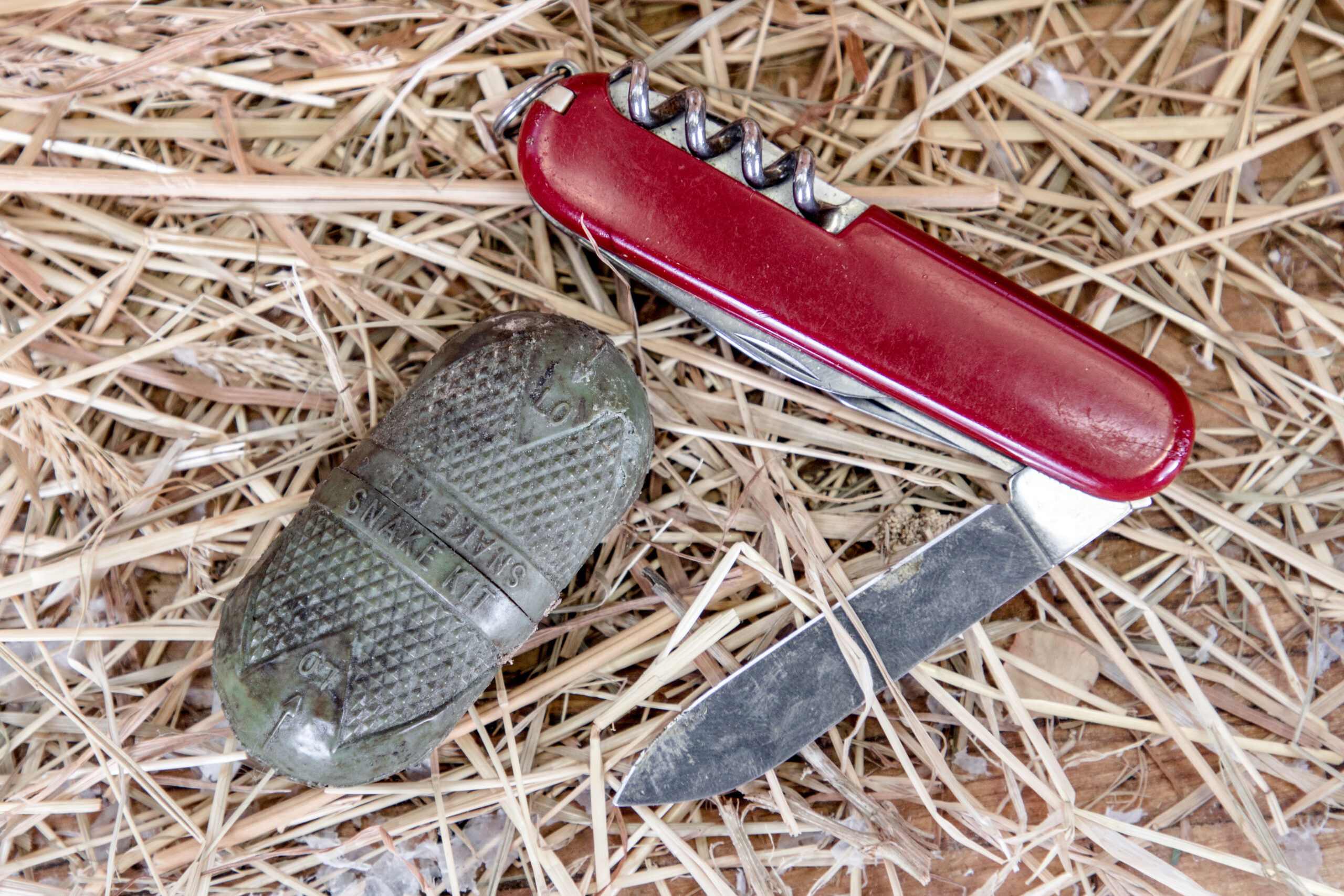 Five common snakebite myths, debunked - SERB Pharmaceuticals